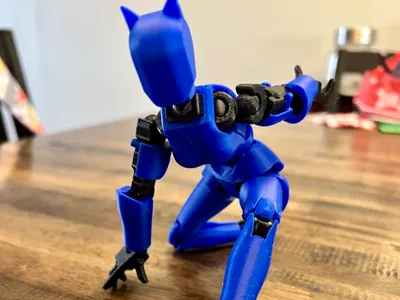 Dummy Ma'am 13 - Free 3D Print Model - MakerWorld