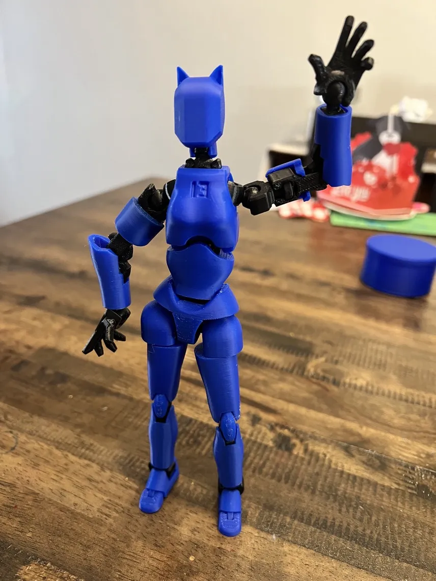 Dummy Ma'am 13 - Free 3D Print Model - MakerWorld