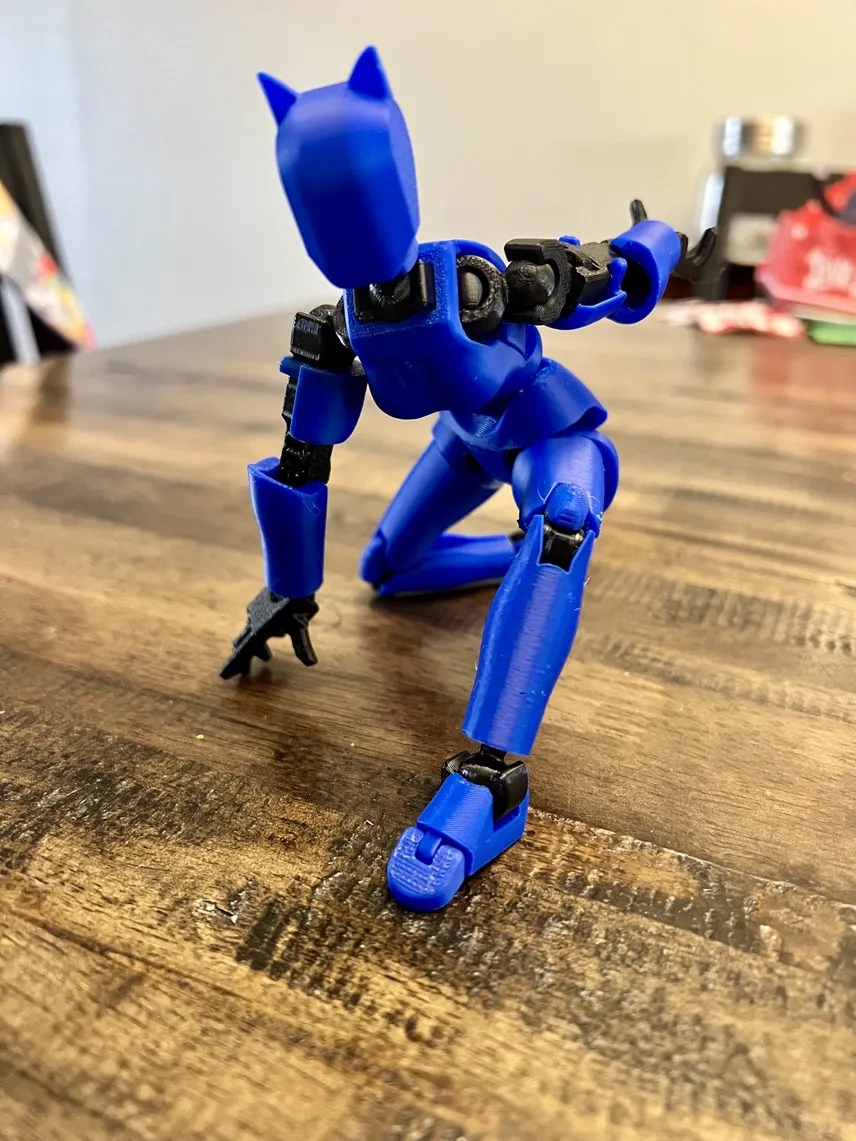 Dummy Ma'am 13 - Free 3D Print Model - MakerWorld