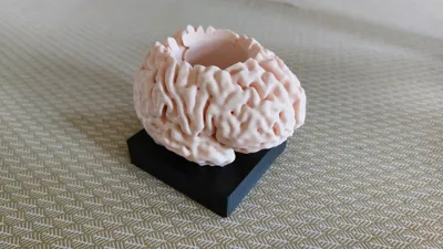 Brain pen holder Remixed by Maxweeje - MakerWorld