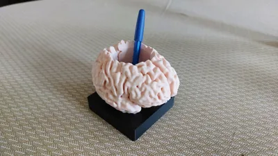Brain pen holder Remixed by Maxweeje - MakerWorld