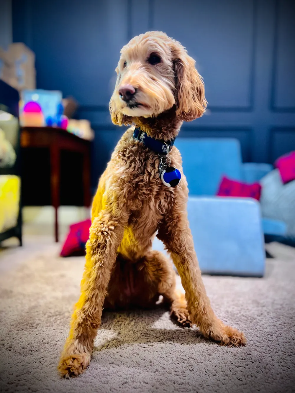 Soccer/Volleyball Keychain | Premium | Assembly by Scott Miller ...