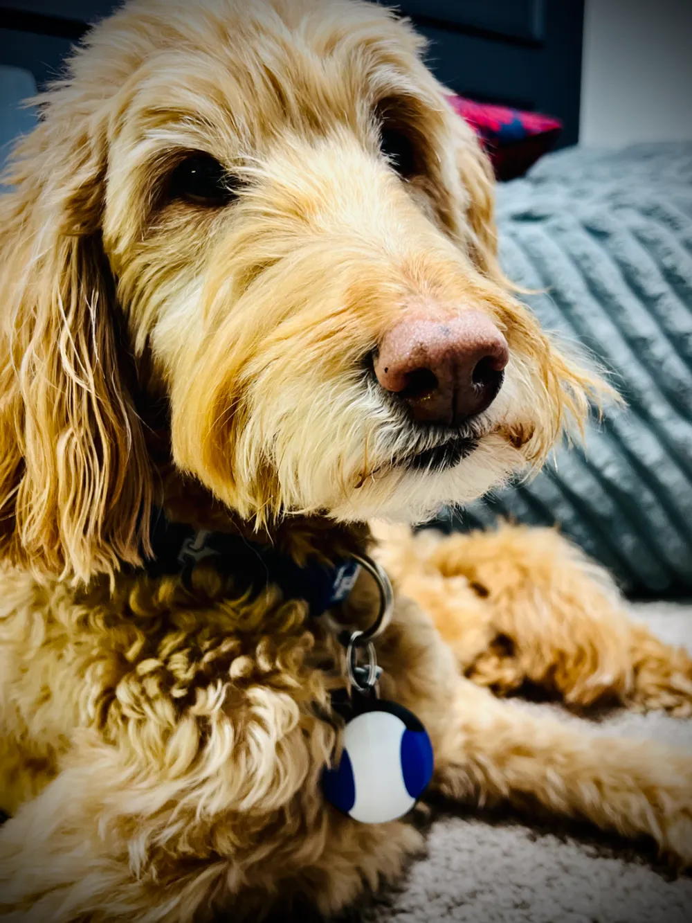 Soccer/Volleyball Keychain | Premium | Assembly by Scott Miller - MakerWorld