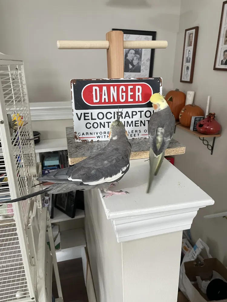 Velociraptor Containment Sign by MattInDetroit MakerWorld: Download ...