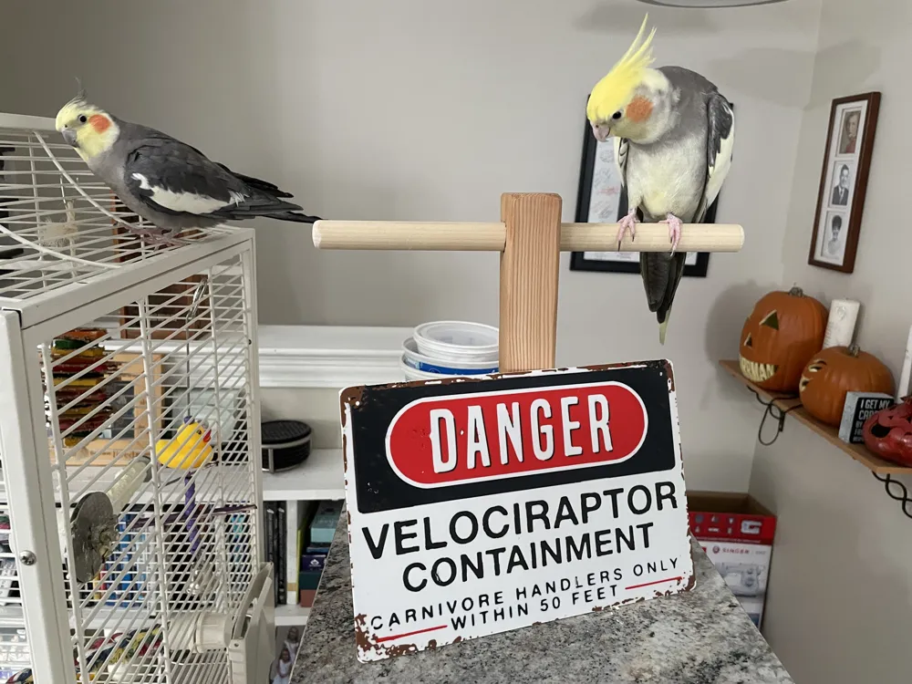 Velociraptor Containment Sign by MattInDetroit MakerWorld: Download ...