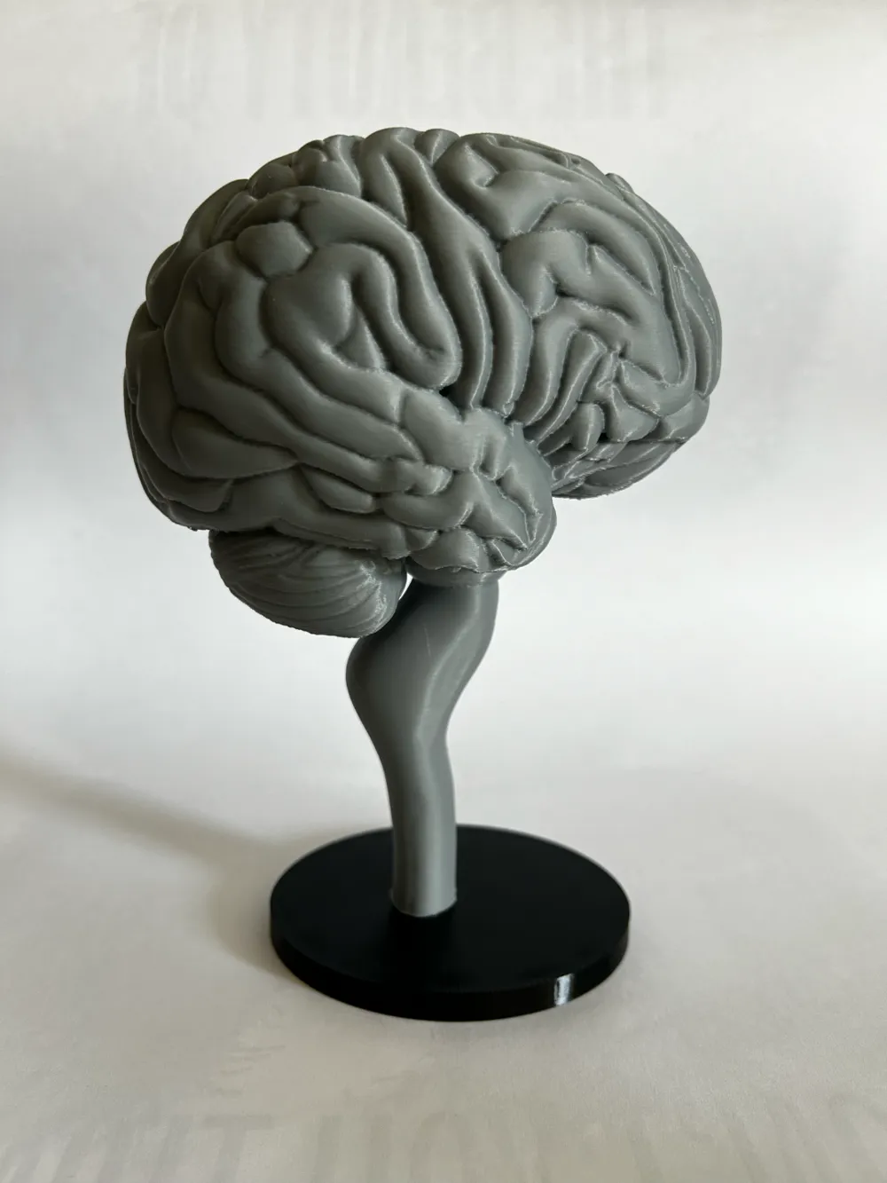 BRAIN - Free 3D Print Model - MakerWorld