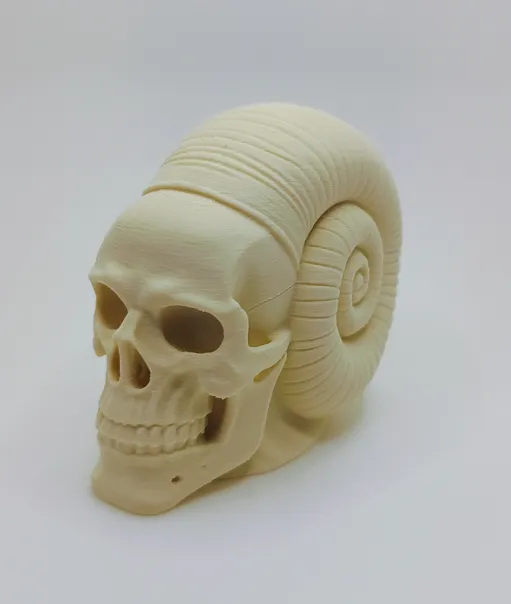 Skull with Snail Shell Skull Snail by Go3D MakerWorld: Download Free 3D ...