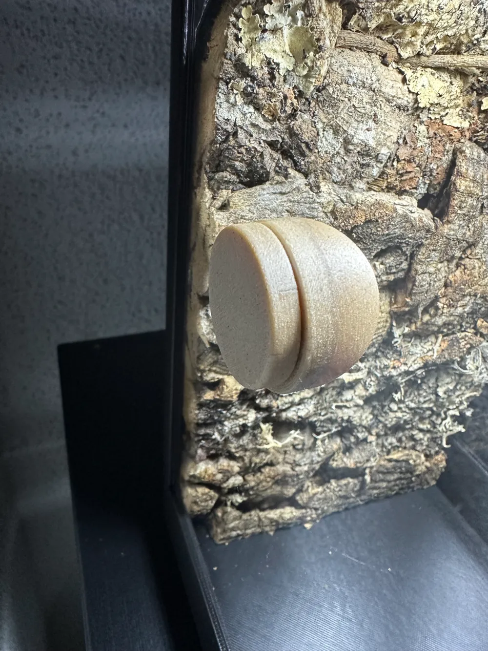 Jumping spider house - Free 3D Print Model - MakerWorld