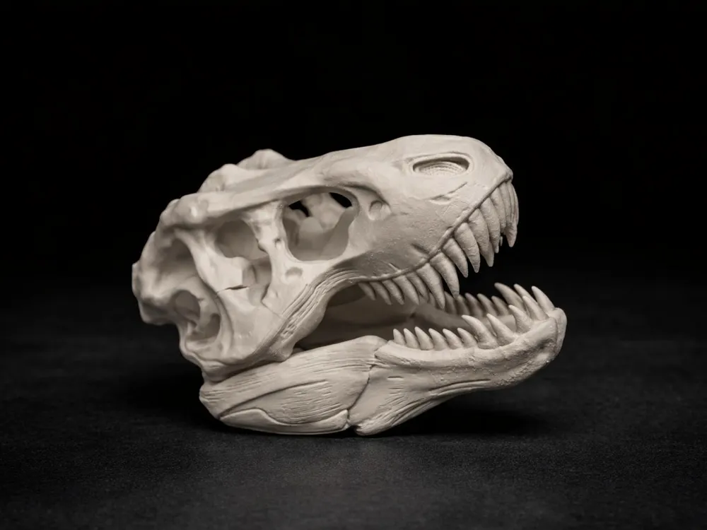 T-rex Skull Replica - Free 3D Print Model - MakerWorld