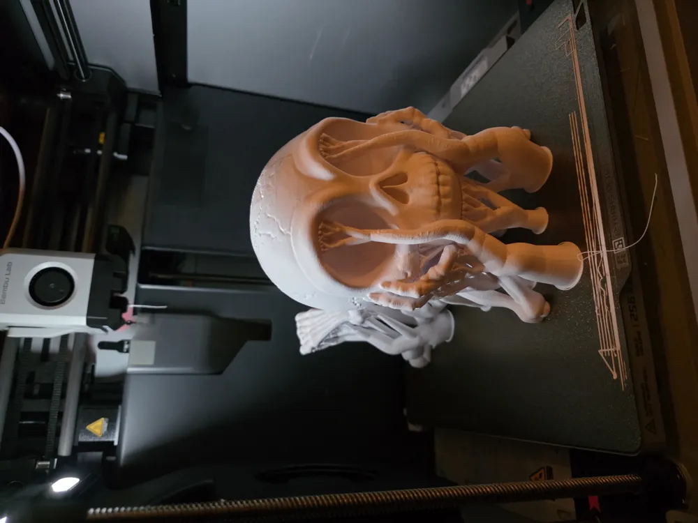 "Chill" Skeleton by DTM247 MakerWorld: Download Free 3D Models