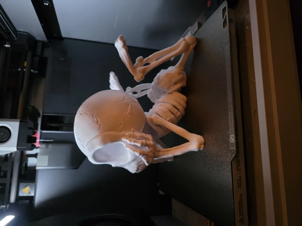 "Chill" Skeleton - Free 3D Print Model - MakerWorld