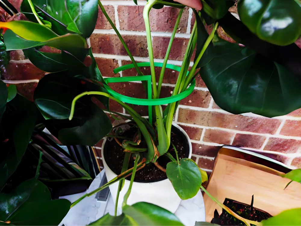 Spiral plant support stake - Free 3D Print Model - MakerWorld
