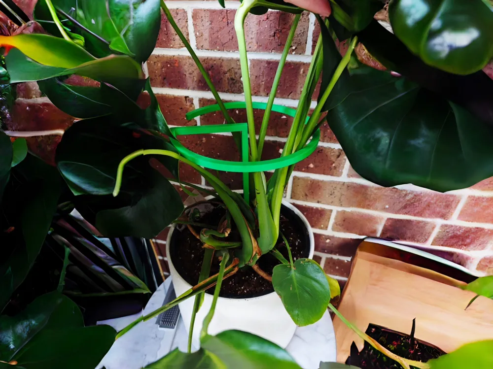 Spiral plant support stake - Free 3D Print Model - MakerWorld