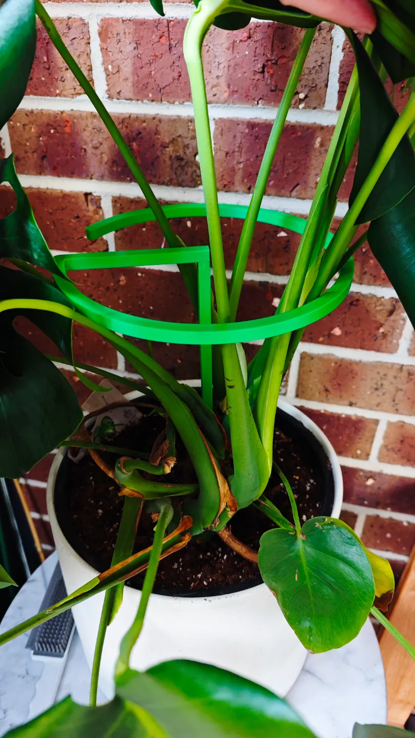Spiral plant support stake - Free 3D Print Model - MakerWorld