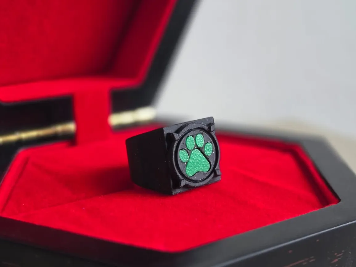 Cat Noir Ring Miraculous by MAT3D MakerWorld: Download Free 3D Models