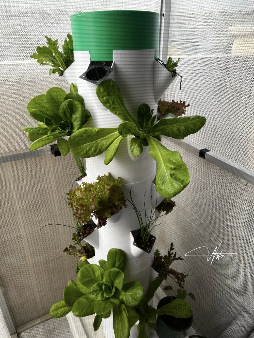 Modular Vertical Hydroponic Mini Tower - Free 3D Print Model - MakerWorld