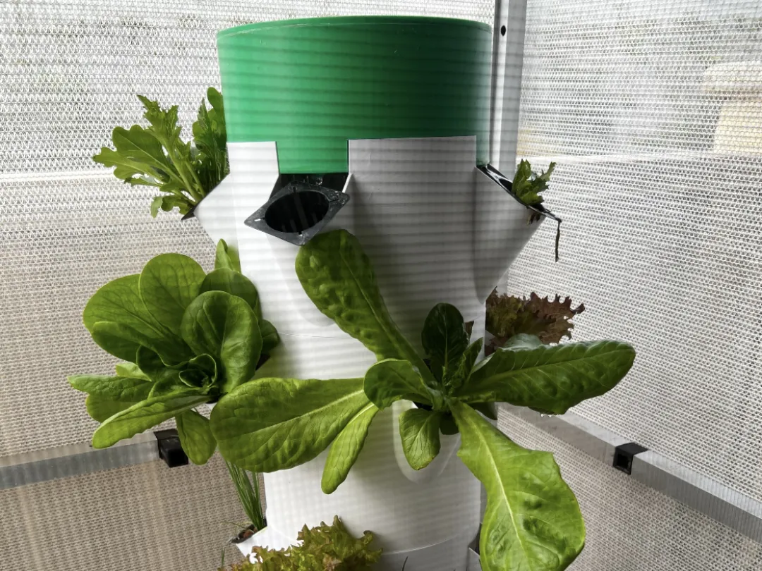 Modular Vertical Hydroponic Mini Tower - Free 3D Print Model - MakerWorld