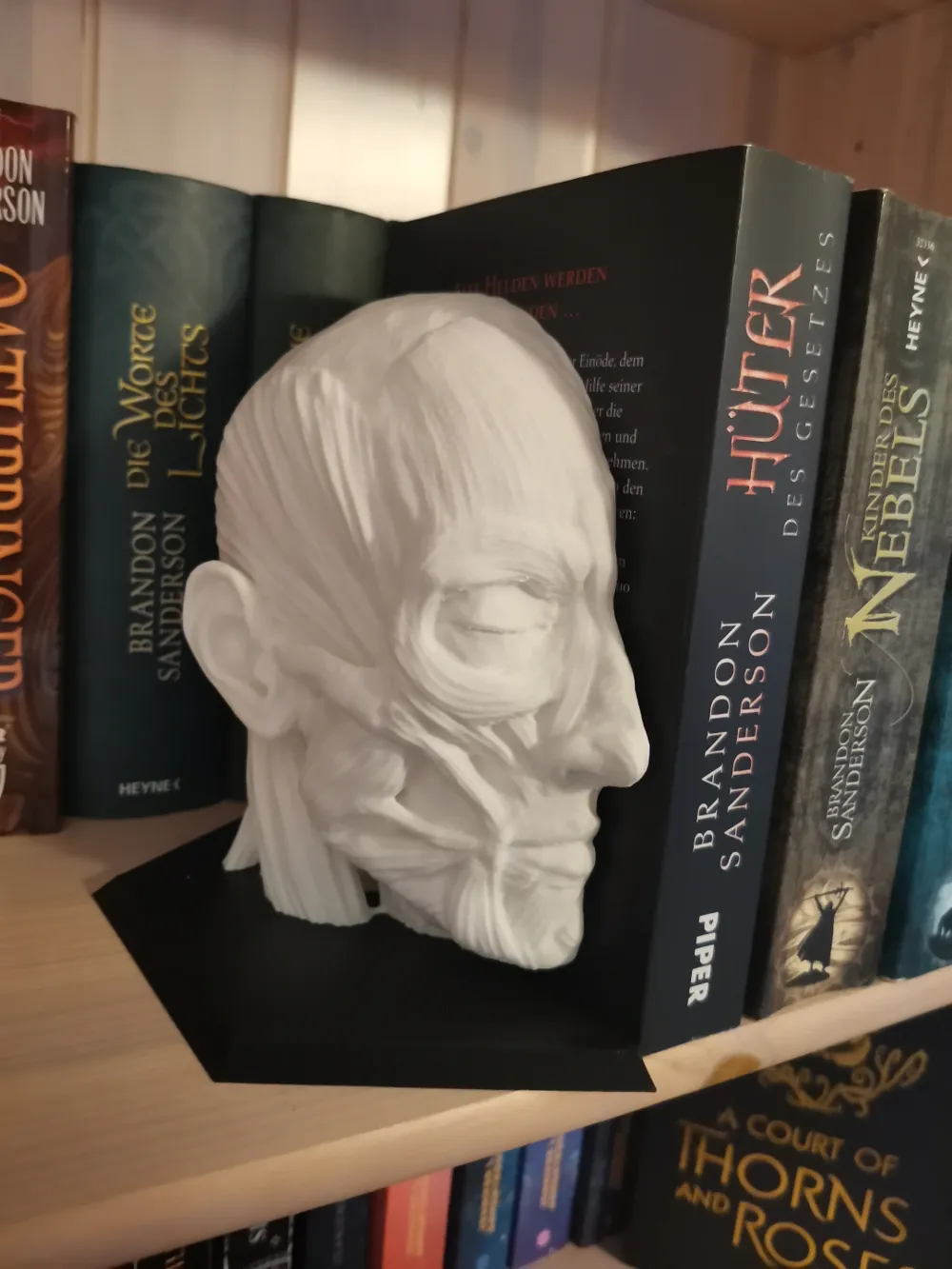 Ecorche Bookends - Human Anatomy Remixed by xipit MakerWorld: Download ...
