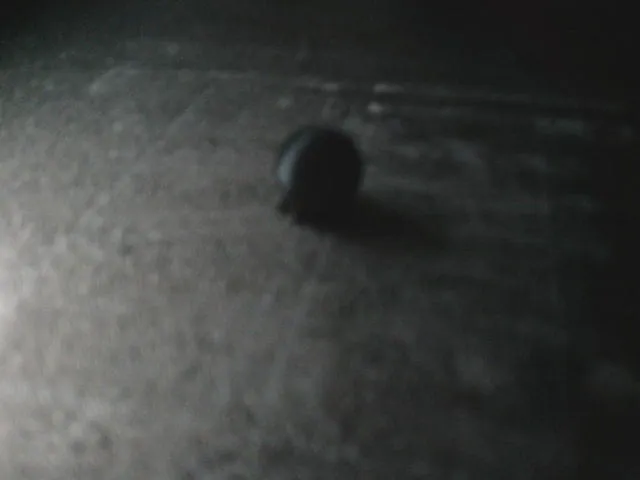 3D print test sphere / fidget by toadus - MakerWorld