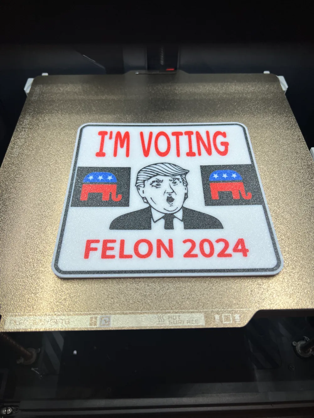 I'm voting Felon by 3Dprinting4fun - MakerWorld