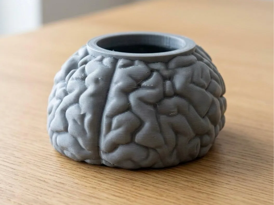 Brain Planter – Anatomical Brain Texture Pot - Free 3D Print Model ...