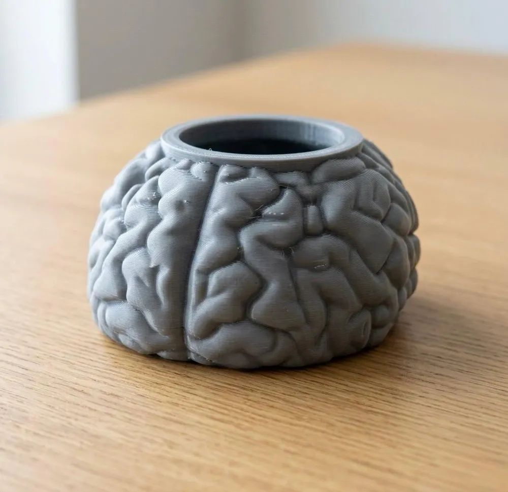 Brain Planter – Anatomical Brain Texture Pot - Free 3D Print Model ...