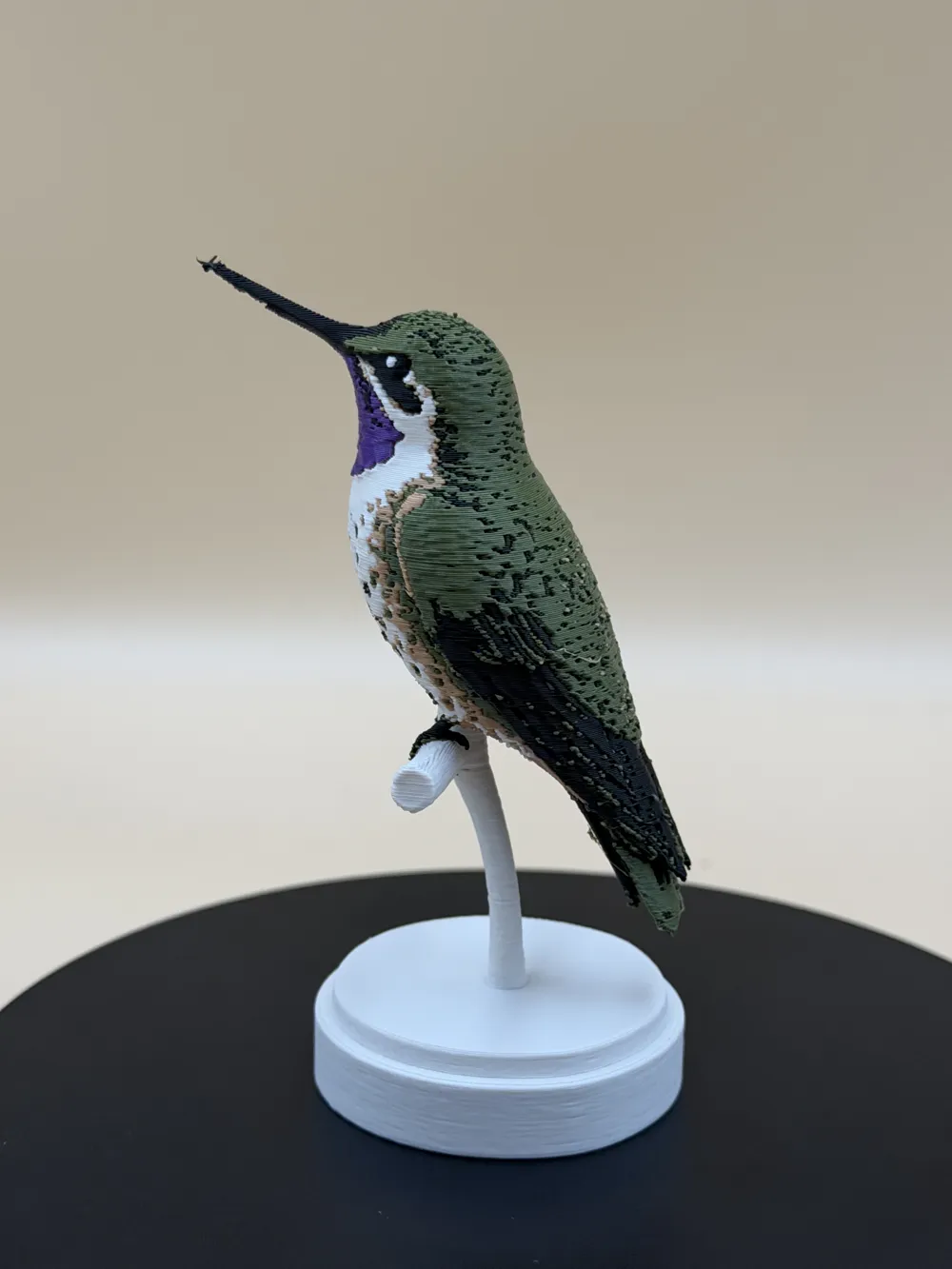 Chilensk trästjärna kolibri - Gratis 3D utskrifts modell - MakerWorld