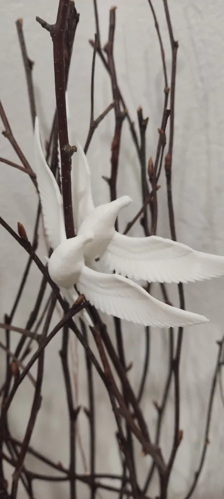 Friendship Doves - Free 3D Print Model - MakerWorld