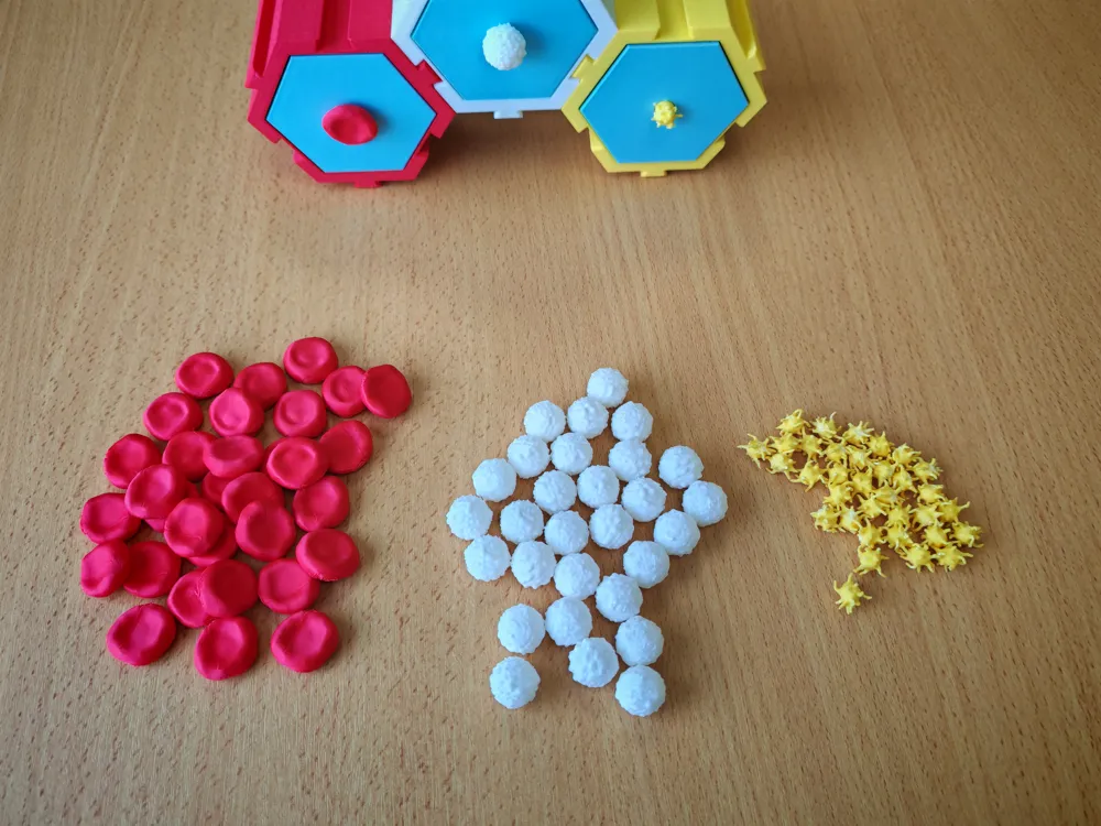 Blood Cells - Free 3D Print Model - MakerWorld