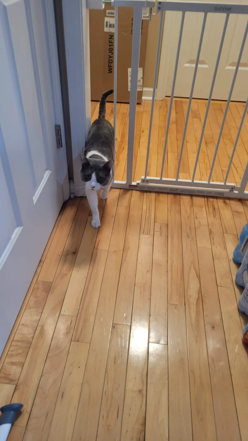 Baby gate extension by Kao - MakerWorld