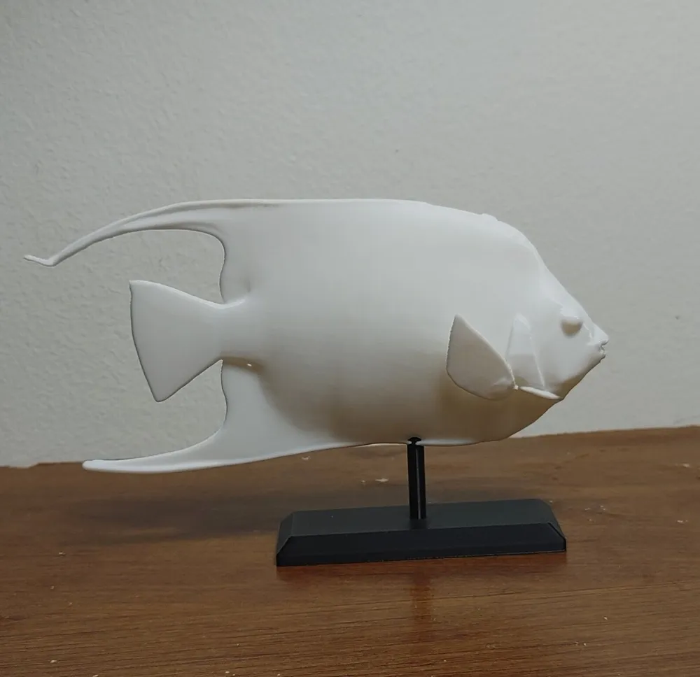 Angelfish Mount by Fish Prints MakerWorld: Download Free 3D Models