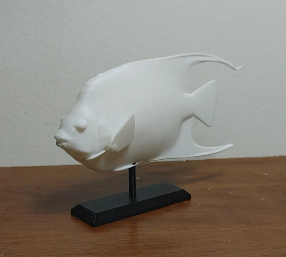 Angelfish Mount by Fish Prints MakerWorld: Download Free 3D Models
