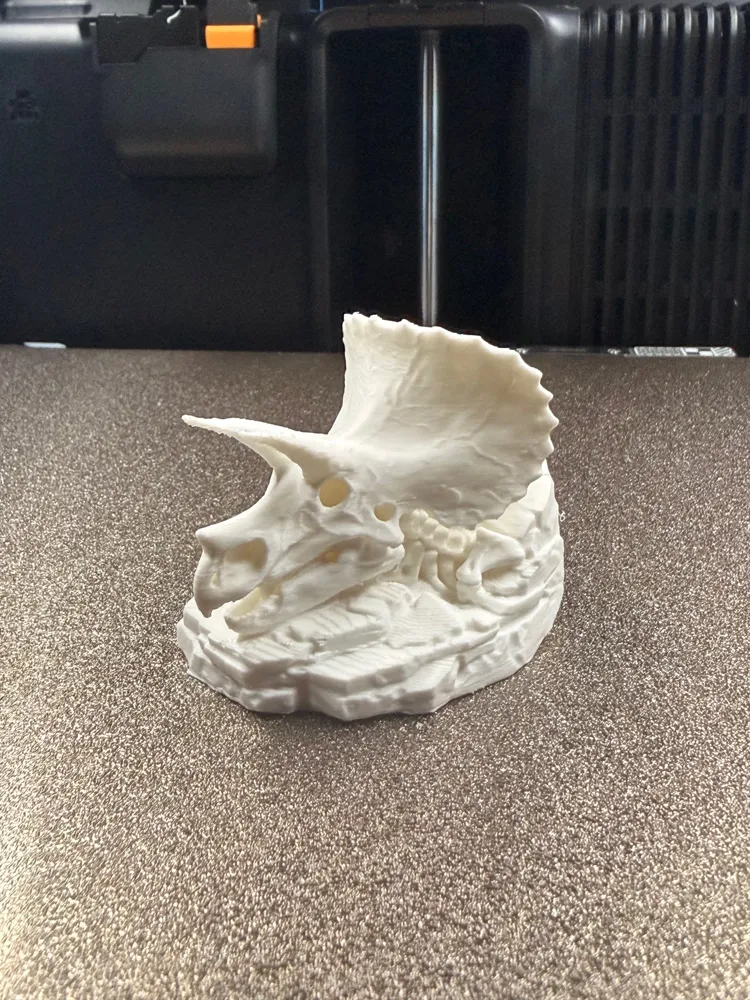 The Armored Titan: Triceratops Fossil - Free 3D Print Model - MakerWorld