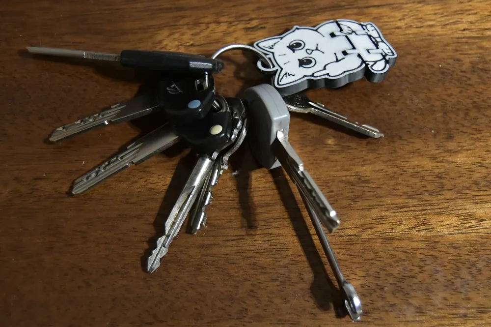 Cat with middle finger fidget - Free 3D Print Model - MakerWorld