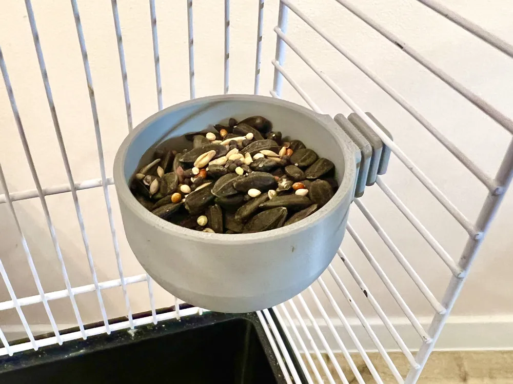 Bird Cage - Bowl feeder - Free 3D Print Model - MakerWorld