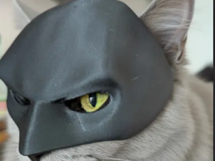 Cute Bat cat mask - Free 3D Print Model - MakerWorld