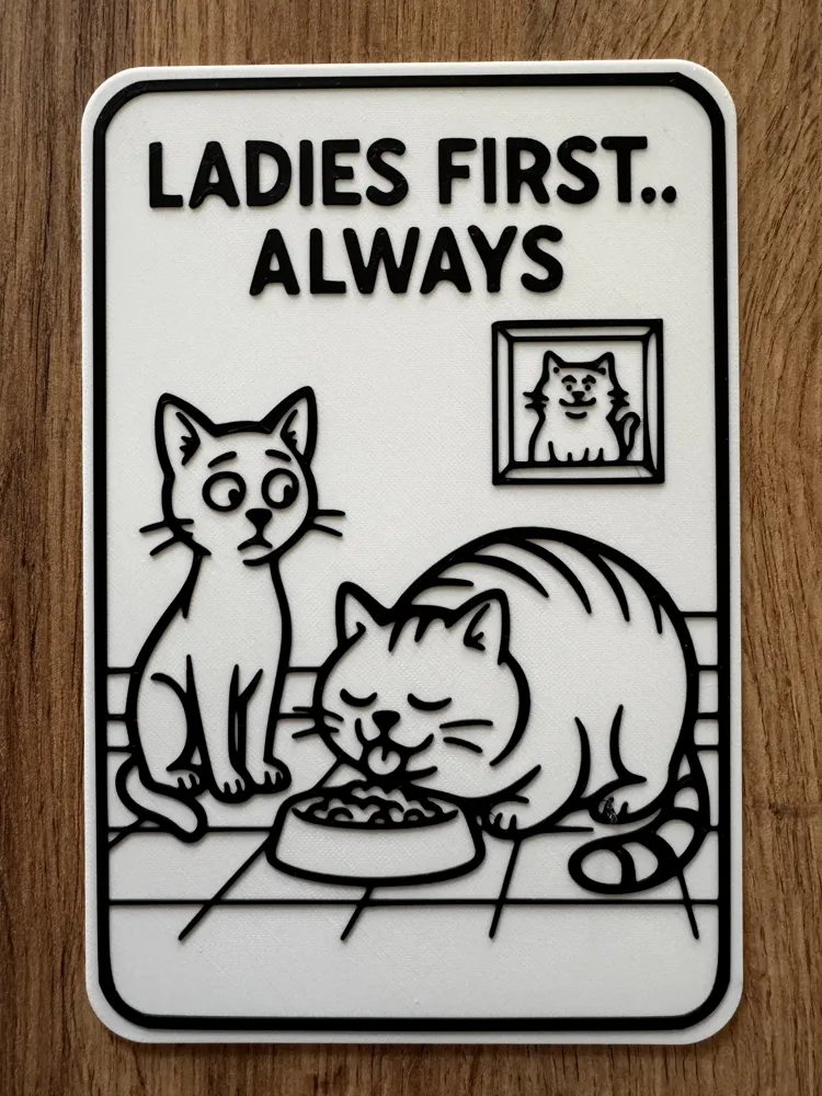 Cats Sign Ladies First Always - Funny Decoration by Stephan Aberer ...