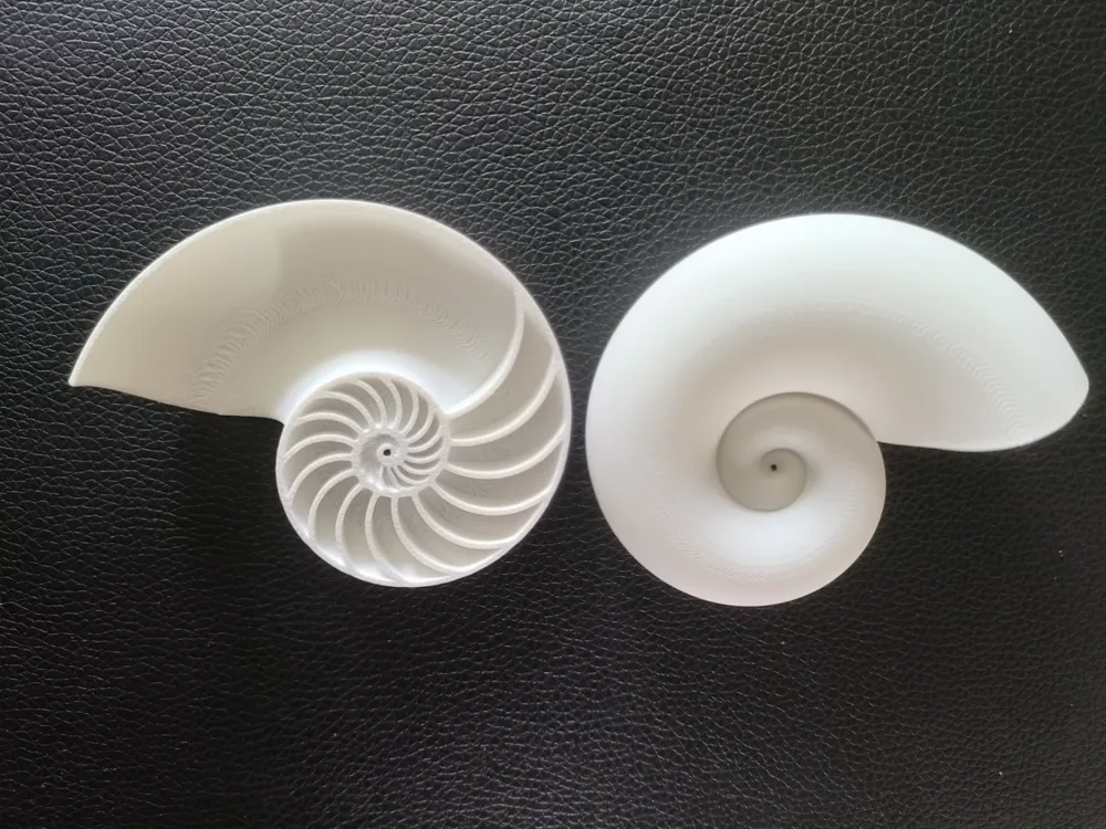 Nautilus, Logarithmic Spiral by user_1441127200 - MakerWorld