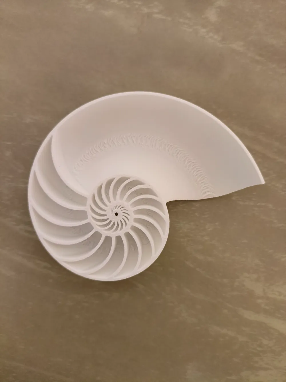 Nautilus, Logarithmic Spiral by user_1441127200 - MakerWorld