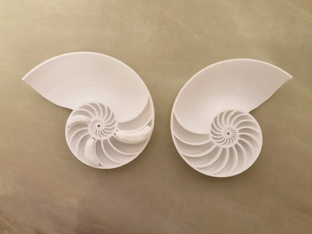 Nautilus, Logarithmic Spiral by user_1441127200 - MakerWorld