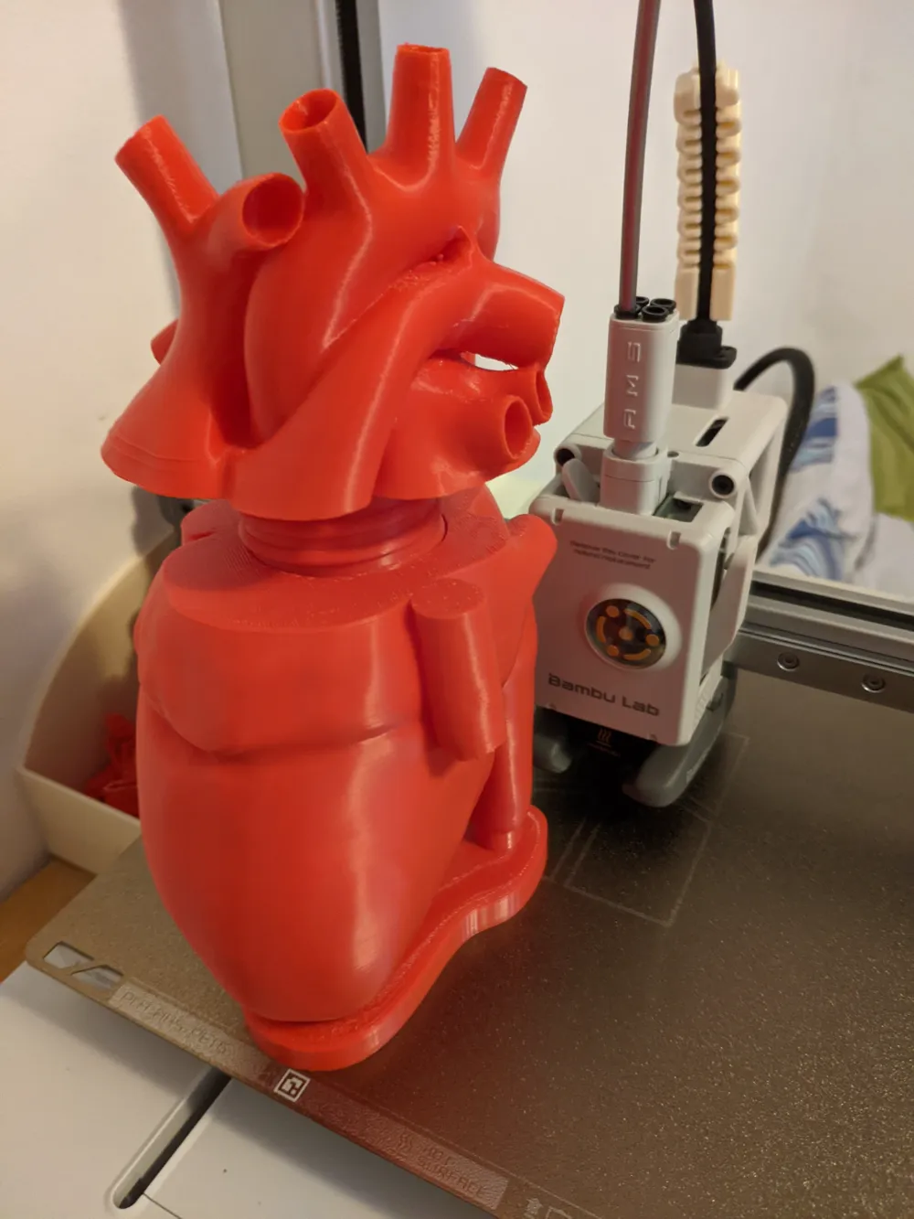 Anatomy Heart Bottle by Dodo7o7 - MakerWorld