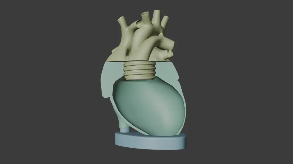 Anatomy Heart Bottle by Dodo7o7 - MakerWorld