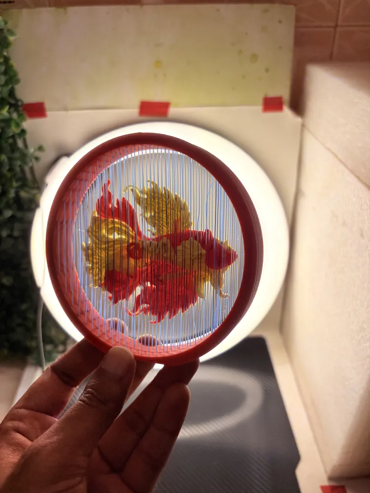 SUSPENDED BETA FISH - Free 3D Print Model - MakerWorld