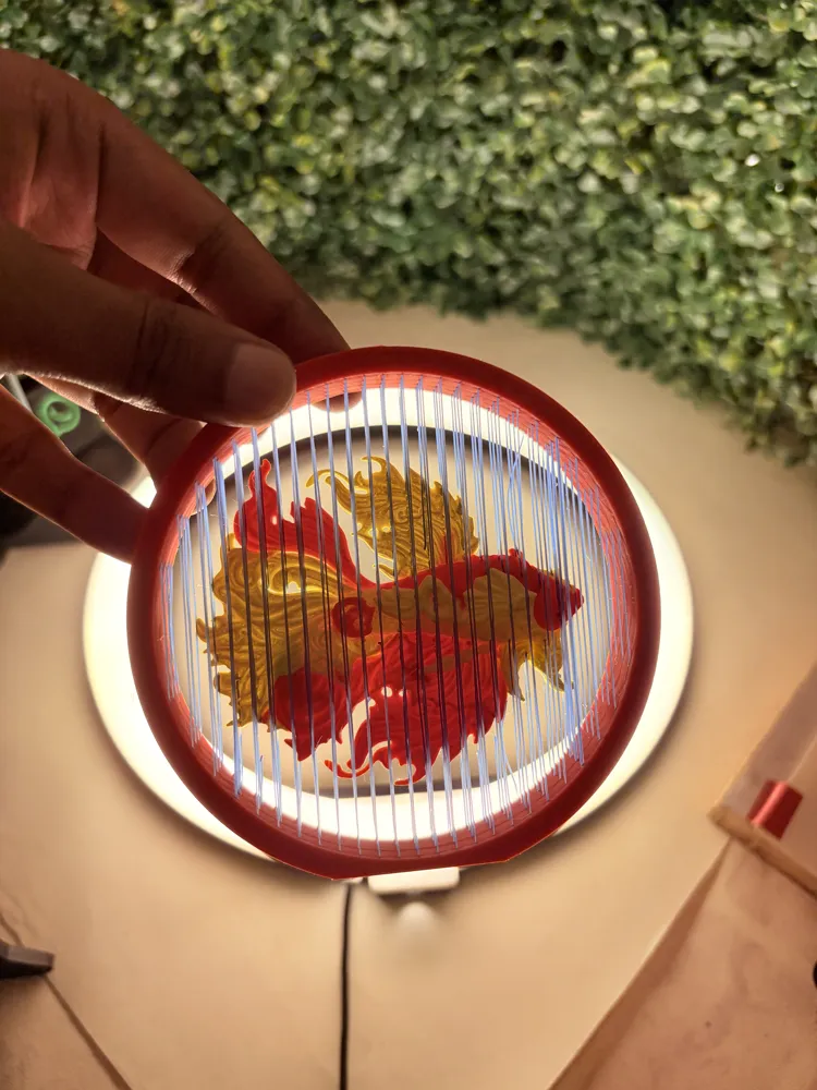 SUSPENDED BETA FISH - Free 3D Print Model - MakerWorld