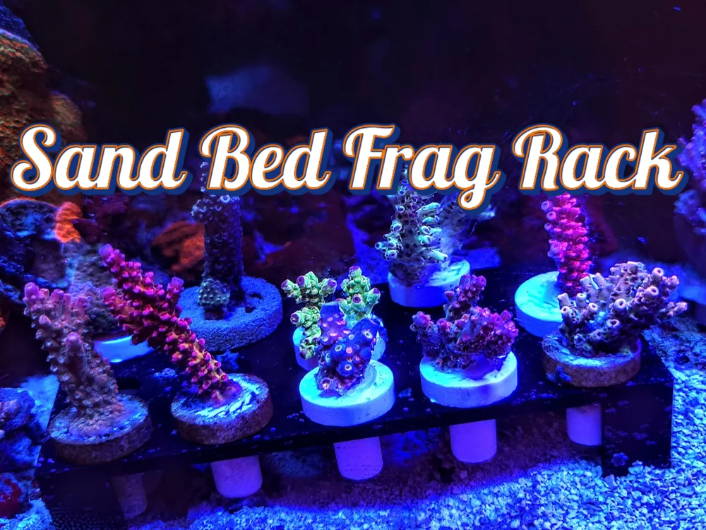 Sand Bed Frag Rack Coral Fragging Marine Reef Fish by MARIN3D ...