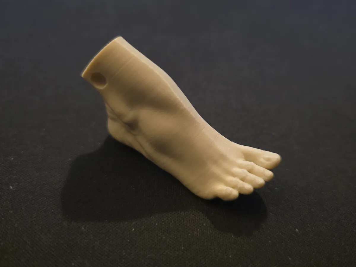 Foot model keychain / decoration - II - Free 3D Print Model - MakerWorld