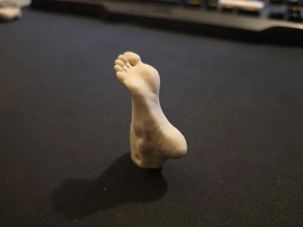 Foot model keychain / decoration - II - Free 3D Print Model - MakerWorld
