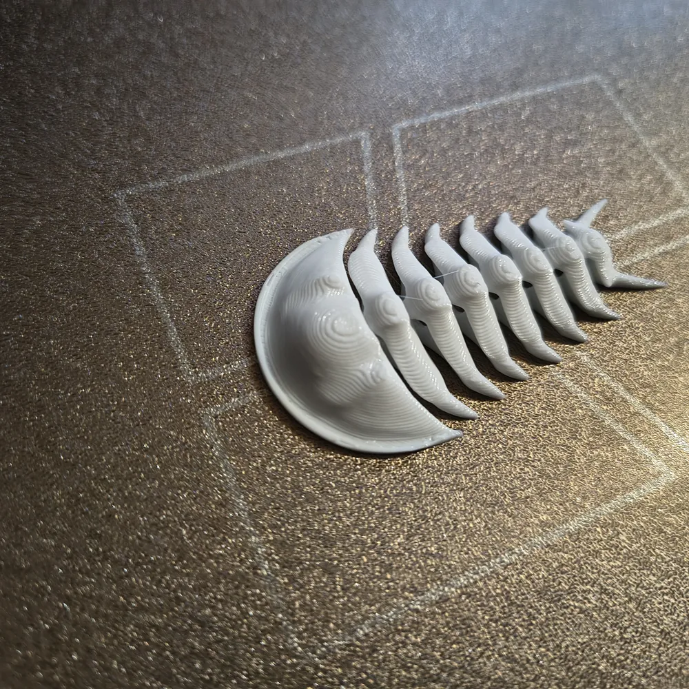 Flexi Trilobite - Free 3D Print Model - MakerWorld
