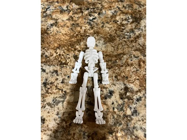Skeleton by Precision 3-D MakerWorld: Download Free 3D Models
