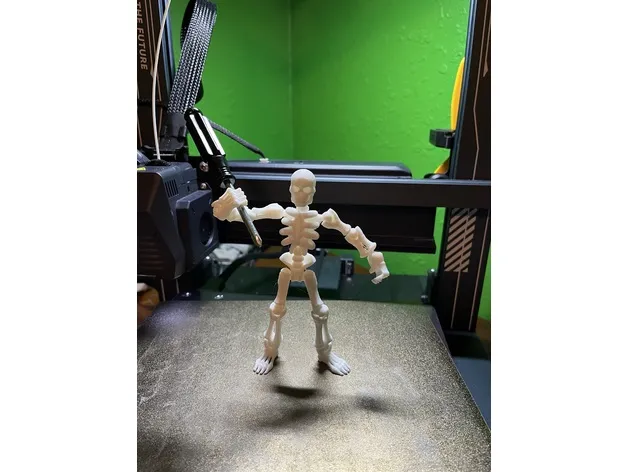 Skeleton - Free 3D Print Model - MakerWorld